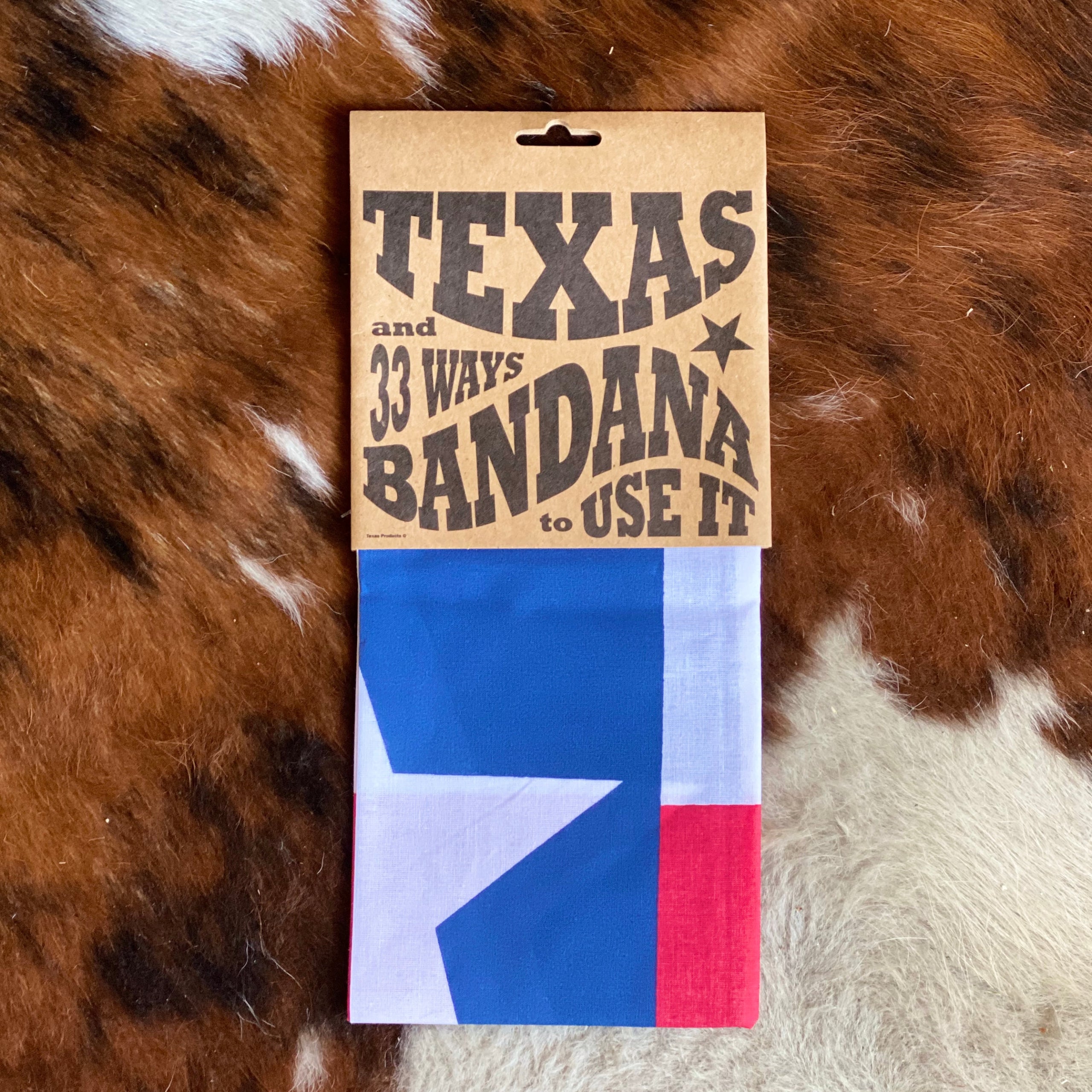 TX Bandana | THE DAYTRIPPER