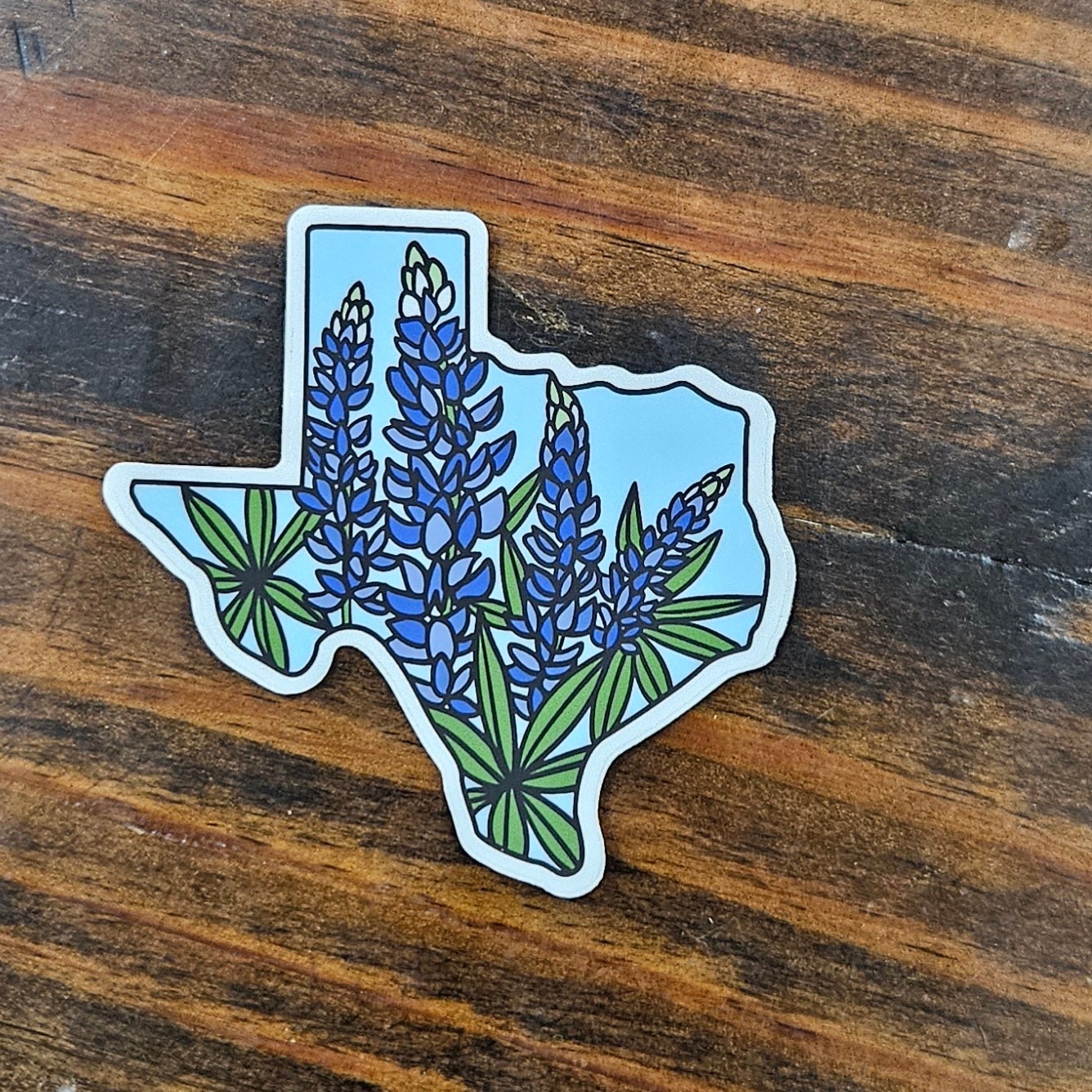 Texas Bluebonnets Sticker | THE DAYTRIPPER